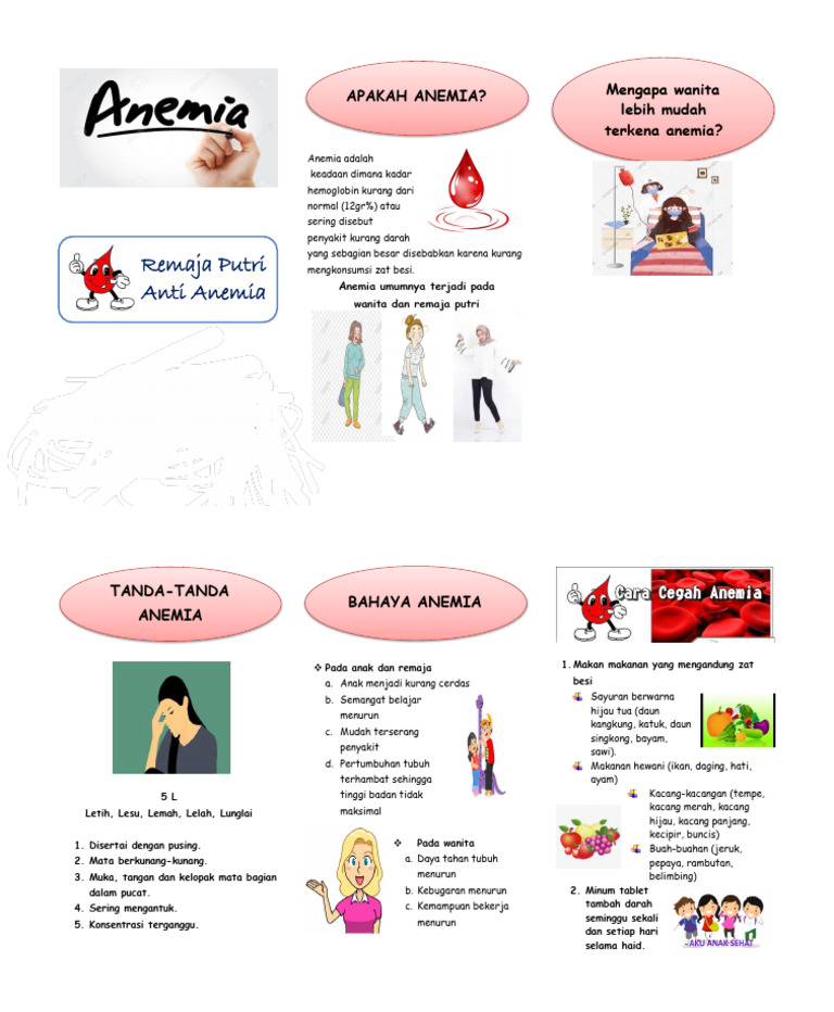 Leaflet Anemia Yola | PDF