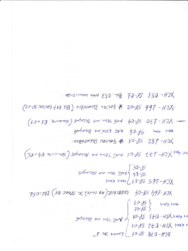 Scanner 20241024 | PDF