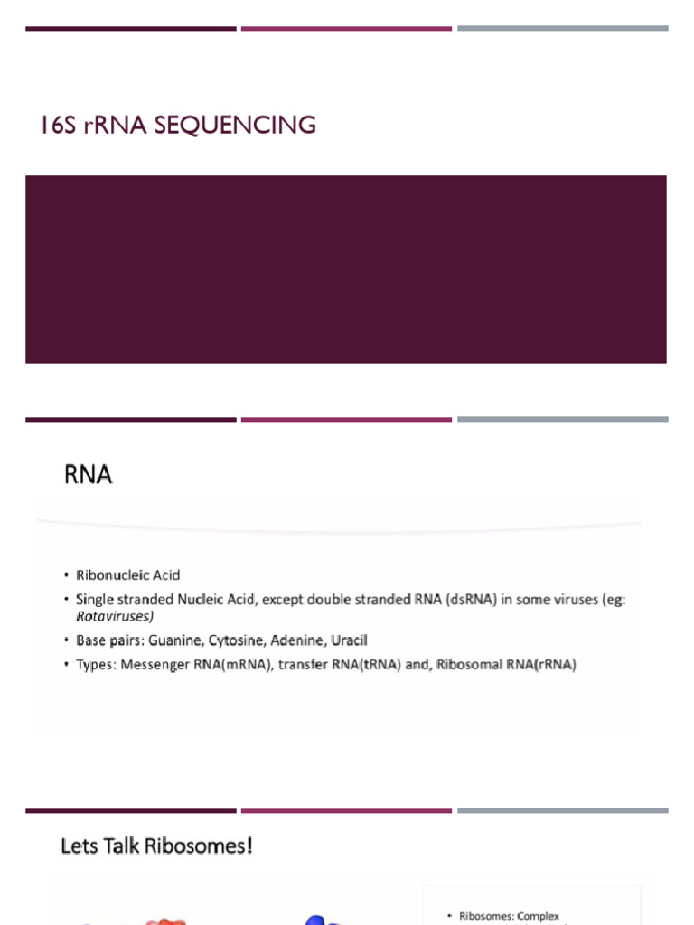 16s rRNA Sequencing | PDF