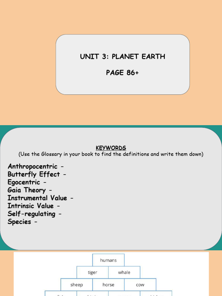 Year 8 Unit 3 Lesson 2 | PDF