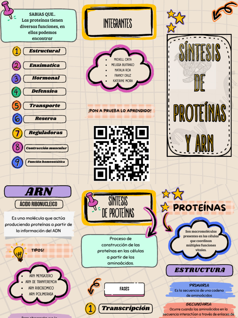 Folleto Síntesis de Proteínas y ARN | PDF | Rna | Proteínas