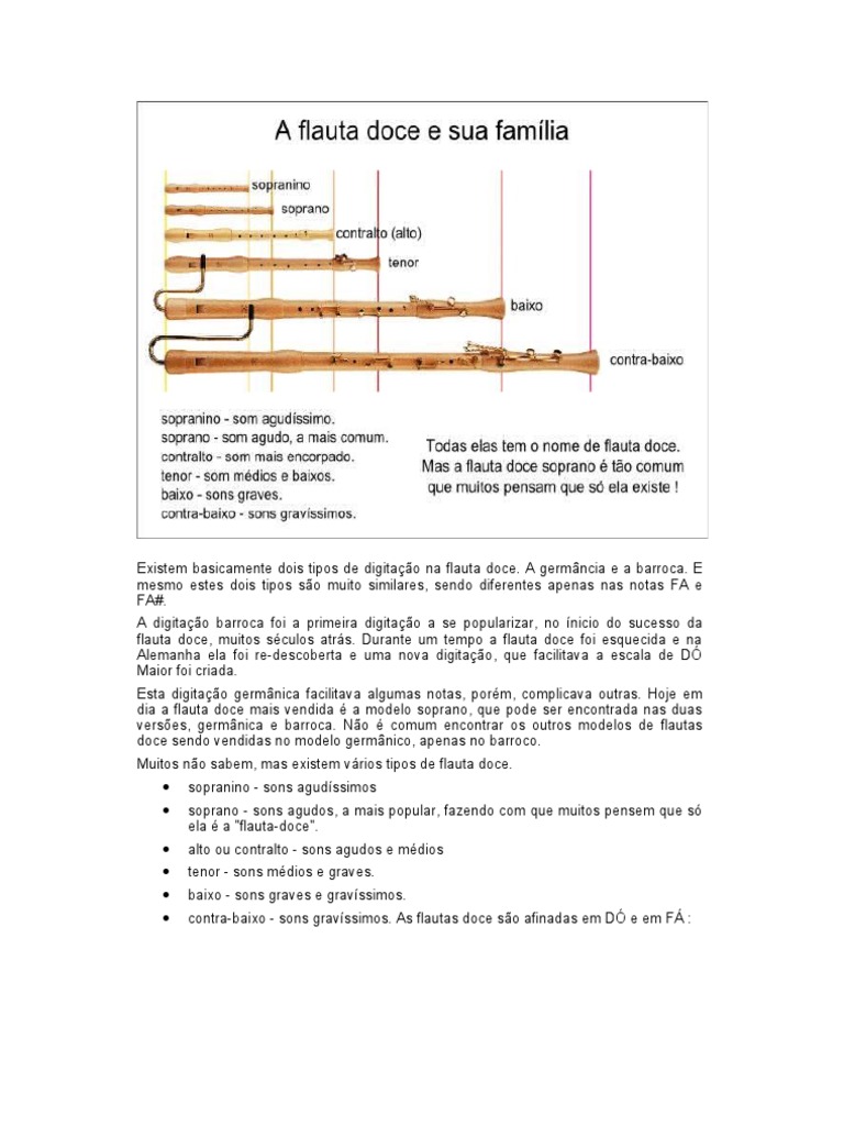 Guia Completo para Flauta Doce | PDF | Flauta doce | Escala (música)