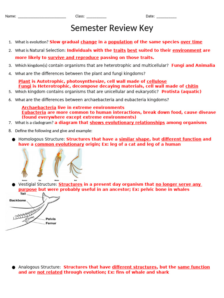 PreAP Fall Semester Review Answers | PDF | Virus | Photosynthesis