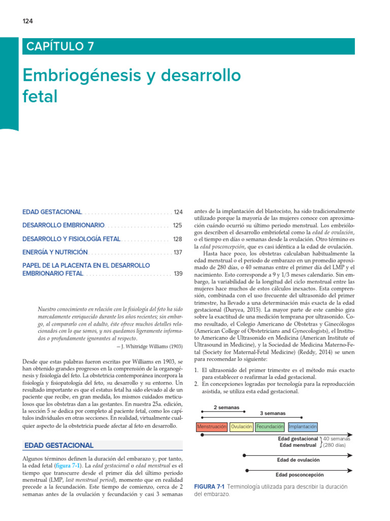 Cap 7 - Embriogenesis y Desarrollo Fetal | PDF | Feto | Vena