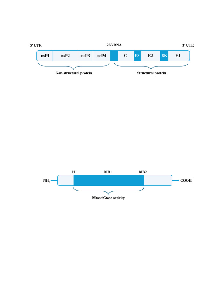 figures CHKV | PDF