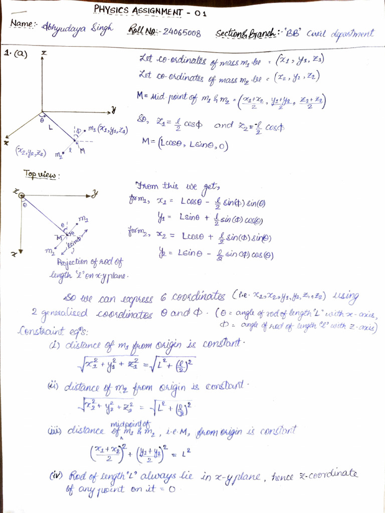 Phy101 Assign1 Iitbhu | PDF