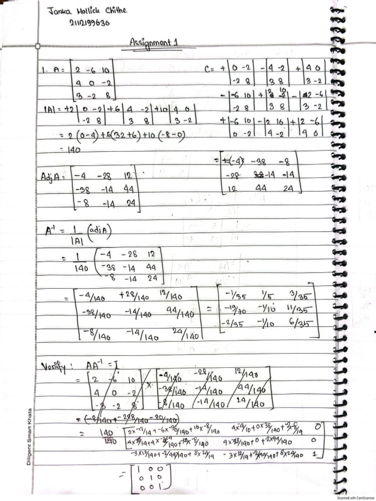 Bus135 Assignment1 | PDF