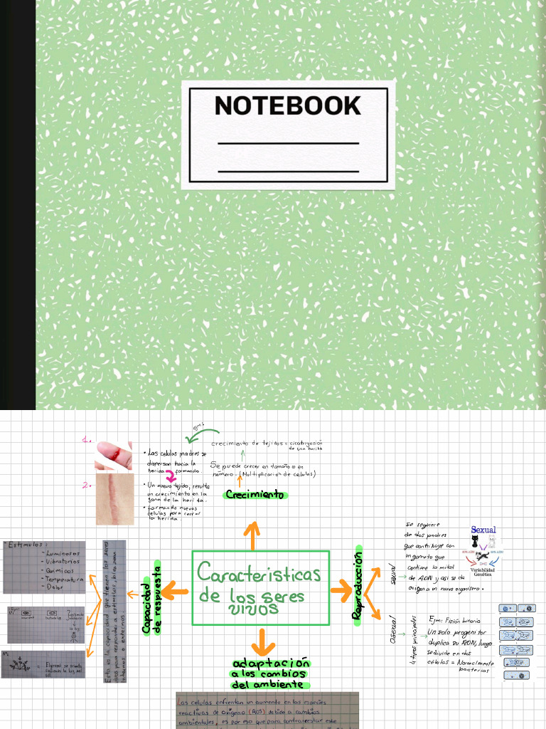 Biologia Celular teor. | PDF