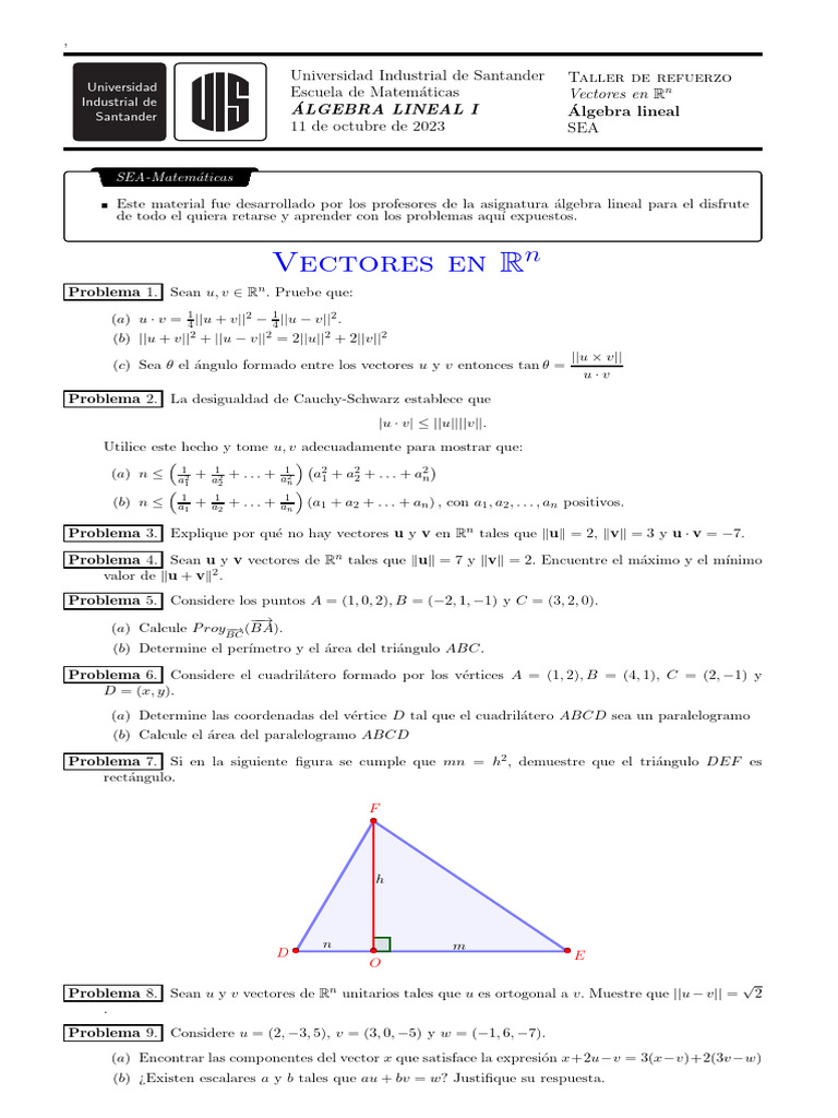 Taller de Álgebra Lineal: Vectores en Rn | PDF | Triángulo | Geometría Elemental
