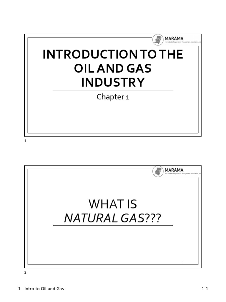 Overview of Oil and Natural Gas Industry | PDF | Petroleum | Natural Gas