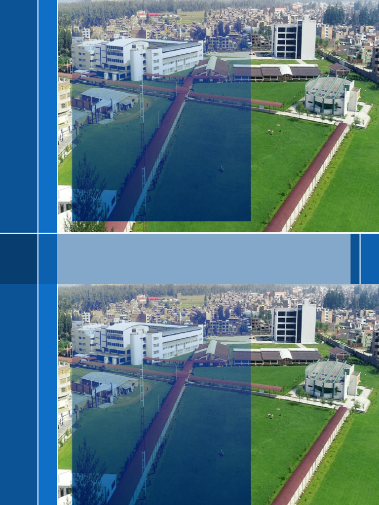 CLASE1 | PDF | Neurociencia | Neurona