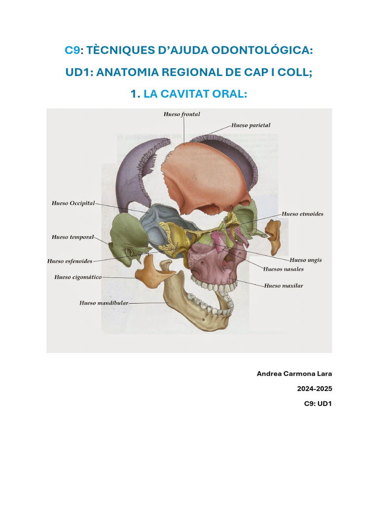 c9 Cavitat Oral | PDF