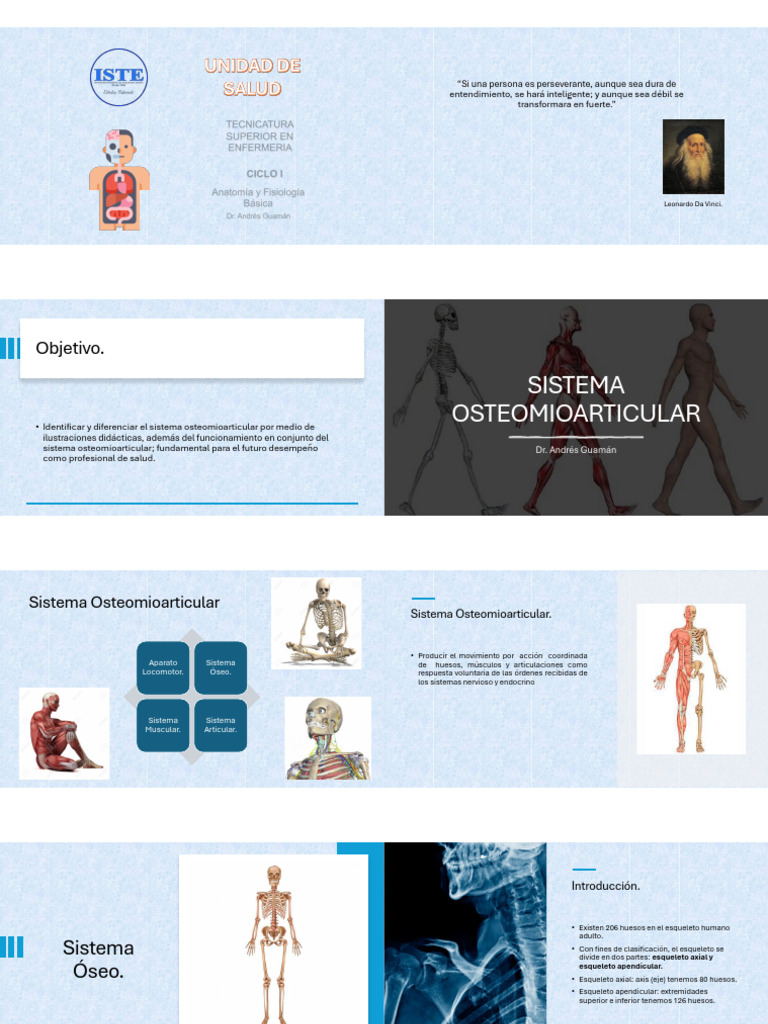 Sistema Oseo y Articular | PDF | Articulación | Esqueleto