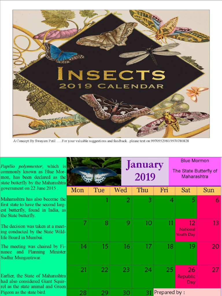 Insect Calender 2019-2 | PDF