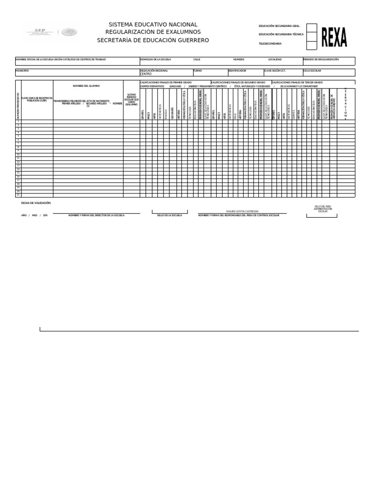Formatos Rexa y Sycer | PDF | Educación Secundaria | Escuelas