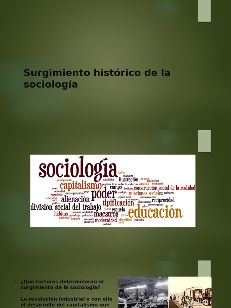 sociologia | PDF | Sociología | Sociedad