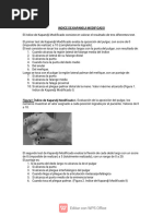 Tacto Protopático y Epicrítico en Kinesiología | PDF | Piel | Neurobiología