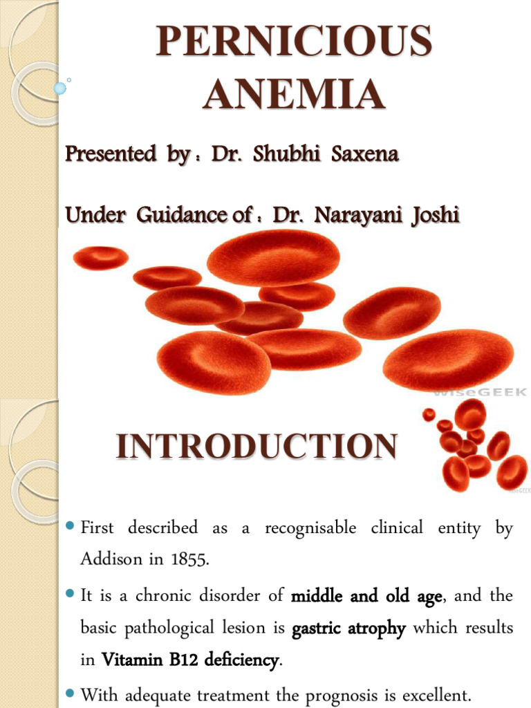 Understanding Pernicious Anemia | PDF | Stomach | Clinical Medicine