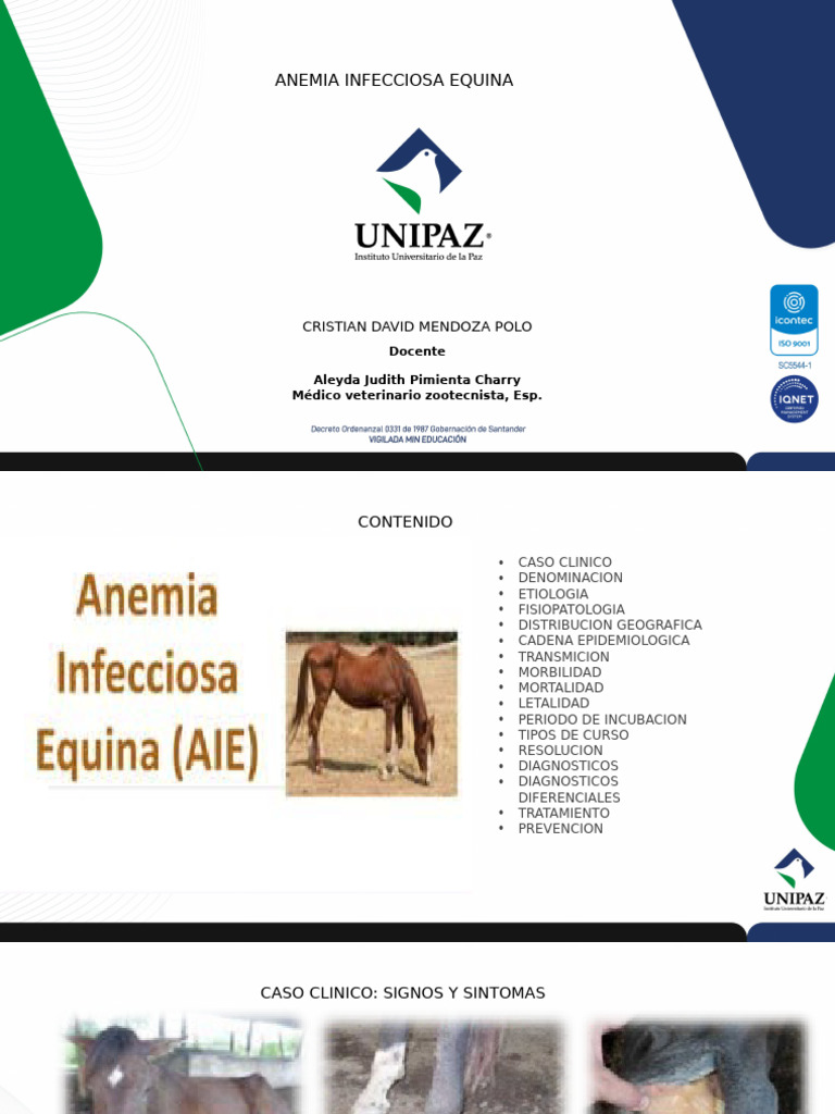 Anemia Infecciosa Equina Cristian Mendoza | PDF | Virus | Infección