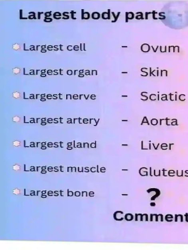 Scanned 20241103 134435 | PDF