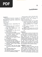 Primate Chart | PDF | Monkey | Ape