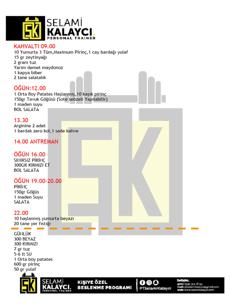 Emre TOPRAK Beslenme Programı | PDF