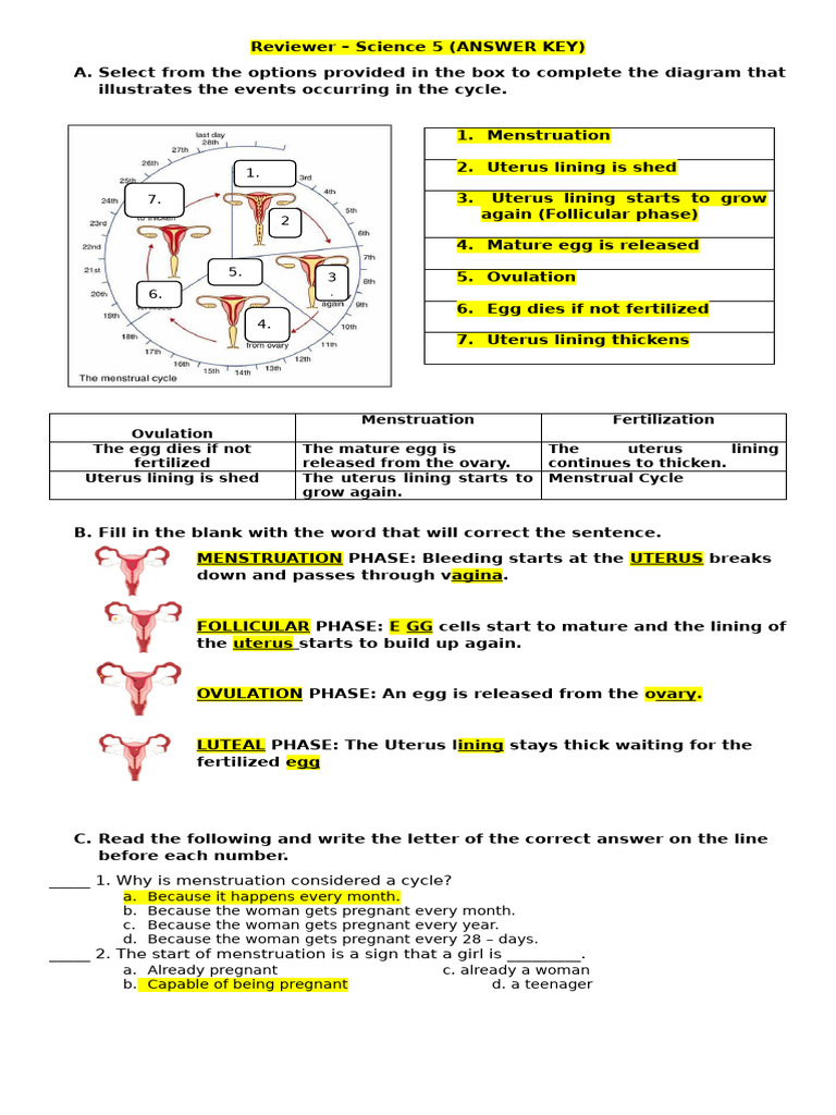 Science 5 Reviewer Answer Key 2nd Prelim | PDF | Menstrual Cycle | Ovary