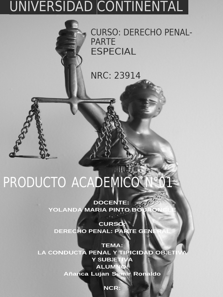 Derecho Penal Pdf Ciencias Sociales