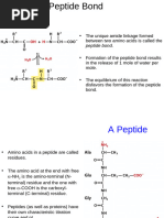 Handout 3a Peptide Drawing | PDF
