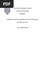Teorías de Caries y Triada de Keyes | PDF | Las bacterias | Diente