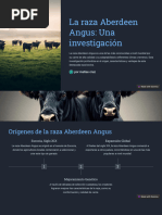Raza Angus | PDF | Carne | Vacas