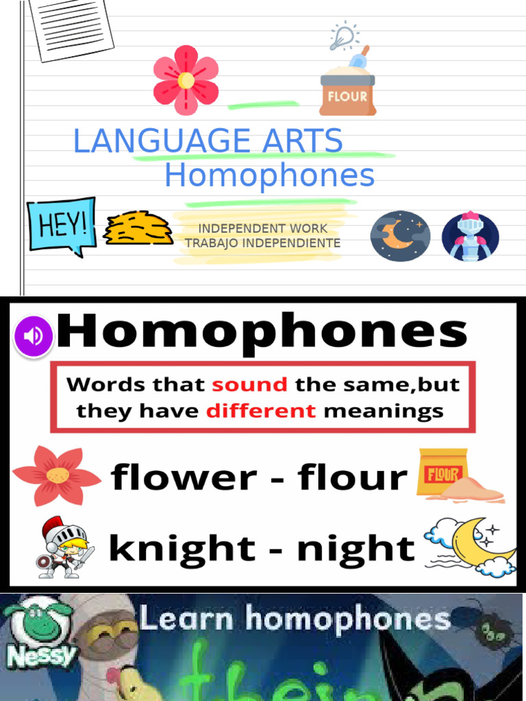 Homophone Interactive Notebook | PDF | Art | Classics