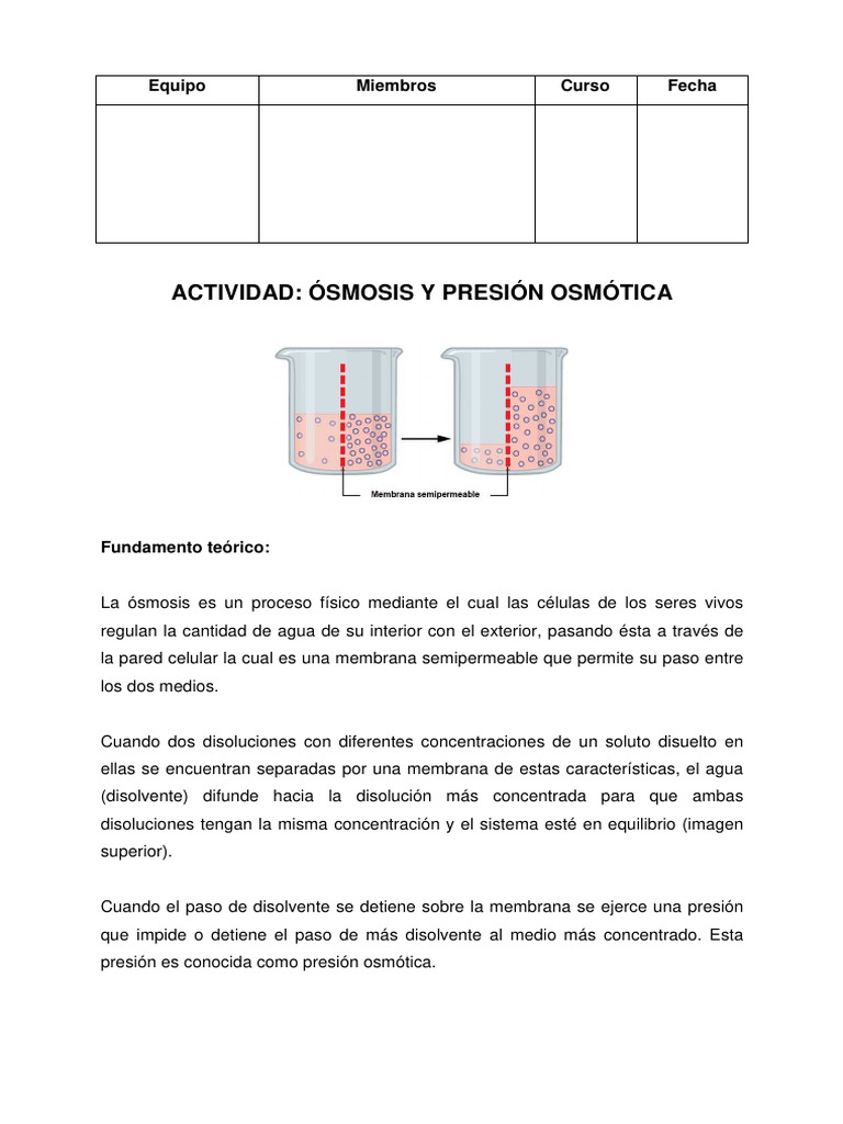 ACT 2. Ósmosis | PDF | Ósmosis | Biología Celular
