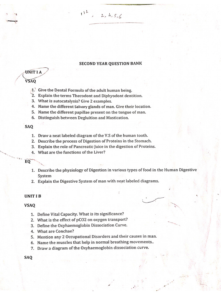 Second Year Questions | PDF