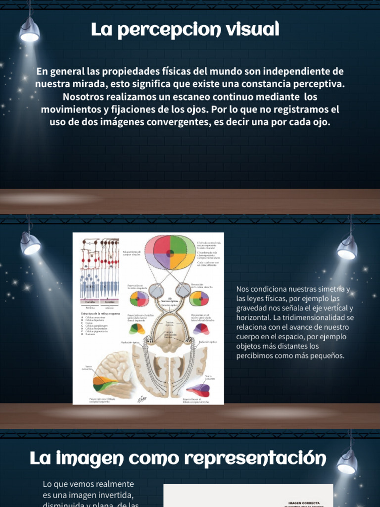 Percepción Visual y Composición Espacial | PDF | Percepción | Sombra