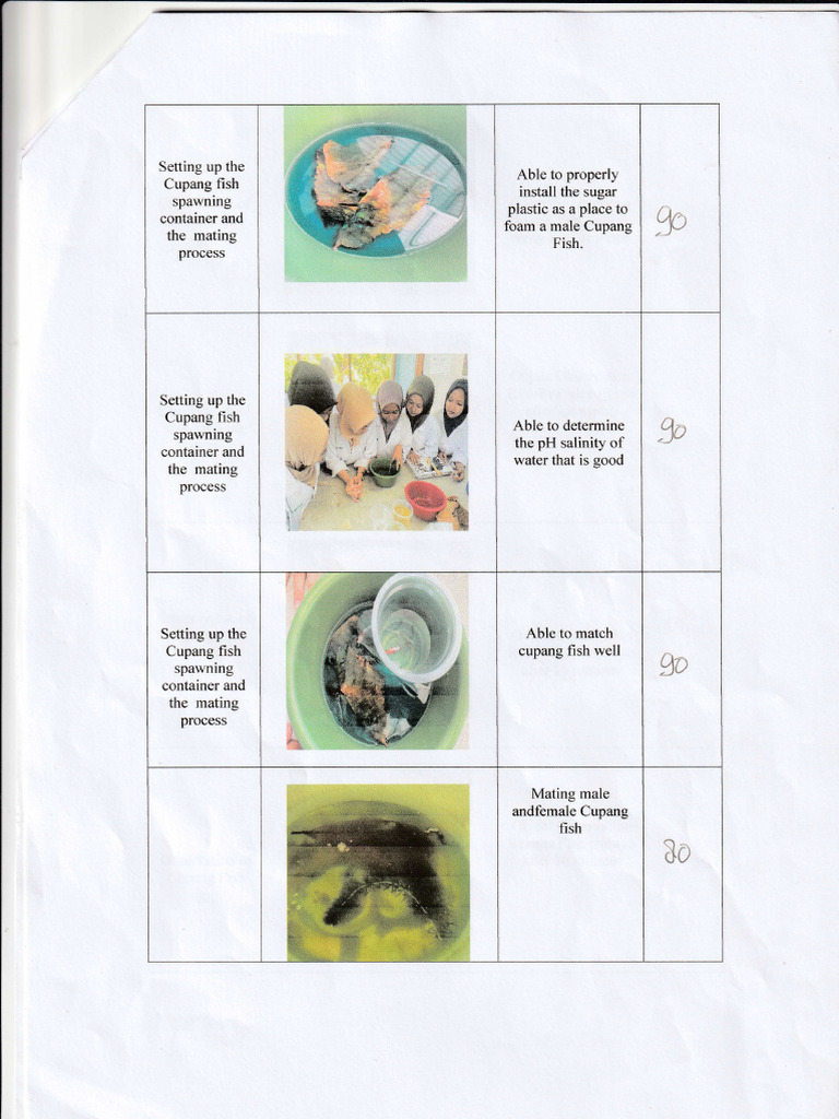 Lapsem Embrio 2 | PDF