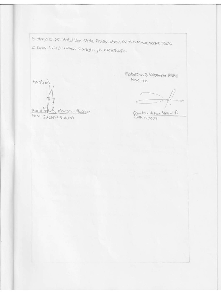 Lapsem Mikriskop 2 | PDF