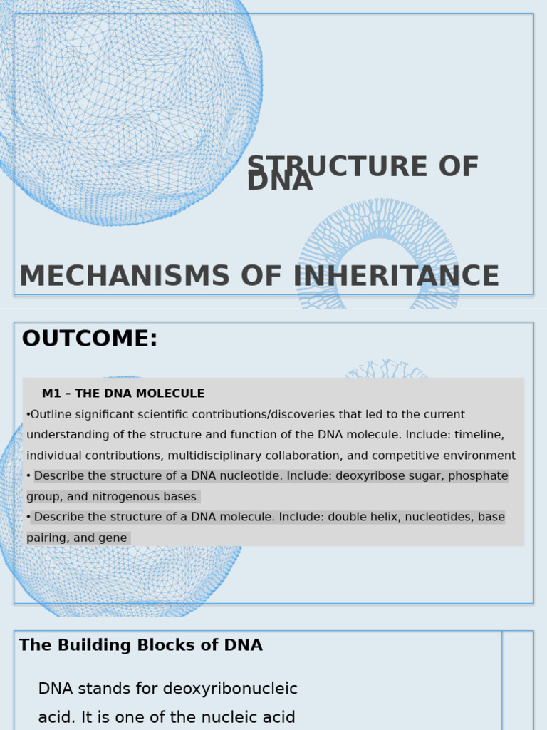 2 - Structure of DNA | PDF | Nucleotides | Dna