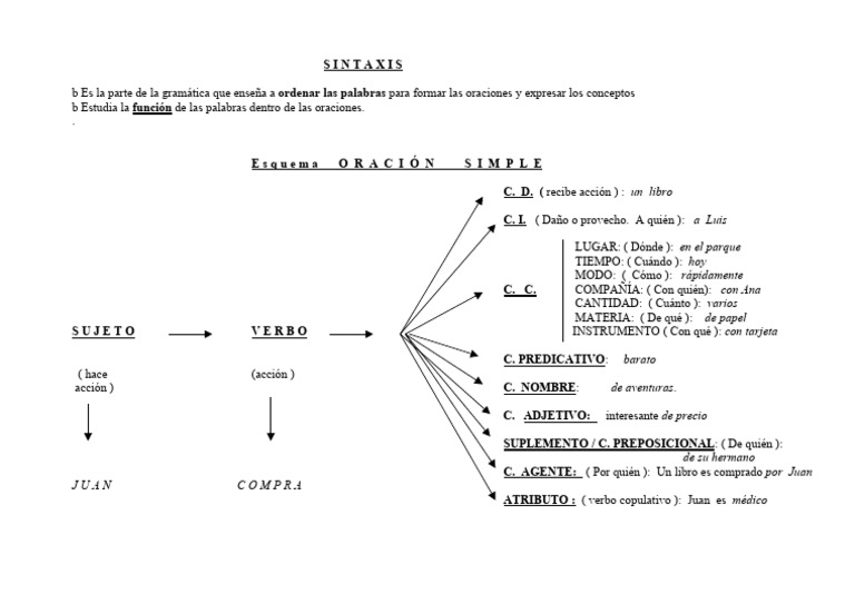 Sintaxis y Tipos de Complementos | PDF | Tipología Lingüística | Lingüística