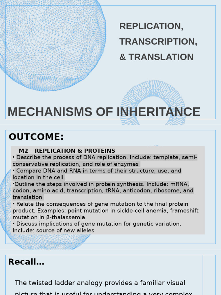 DNA Replication and Protein Synthesis | PDF | Rna | Translation (Biology)