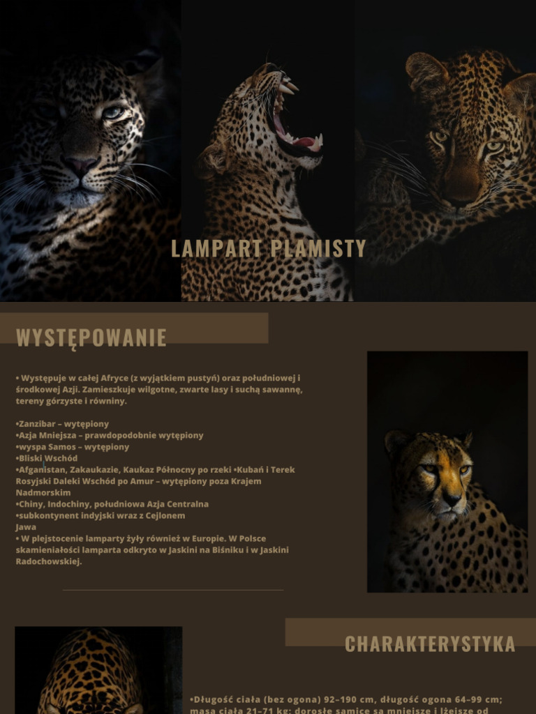 Leopard | PDF