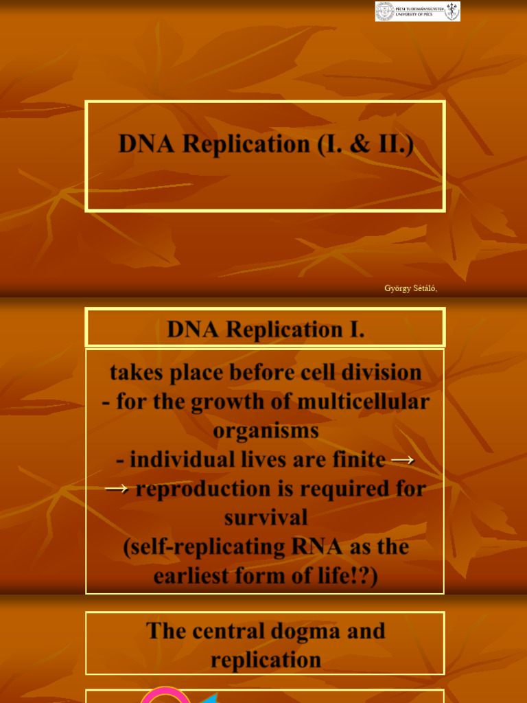 22-23. DNA Replication | PDF | Dna Replication | Dna