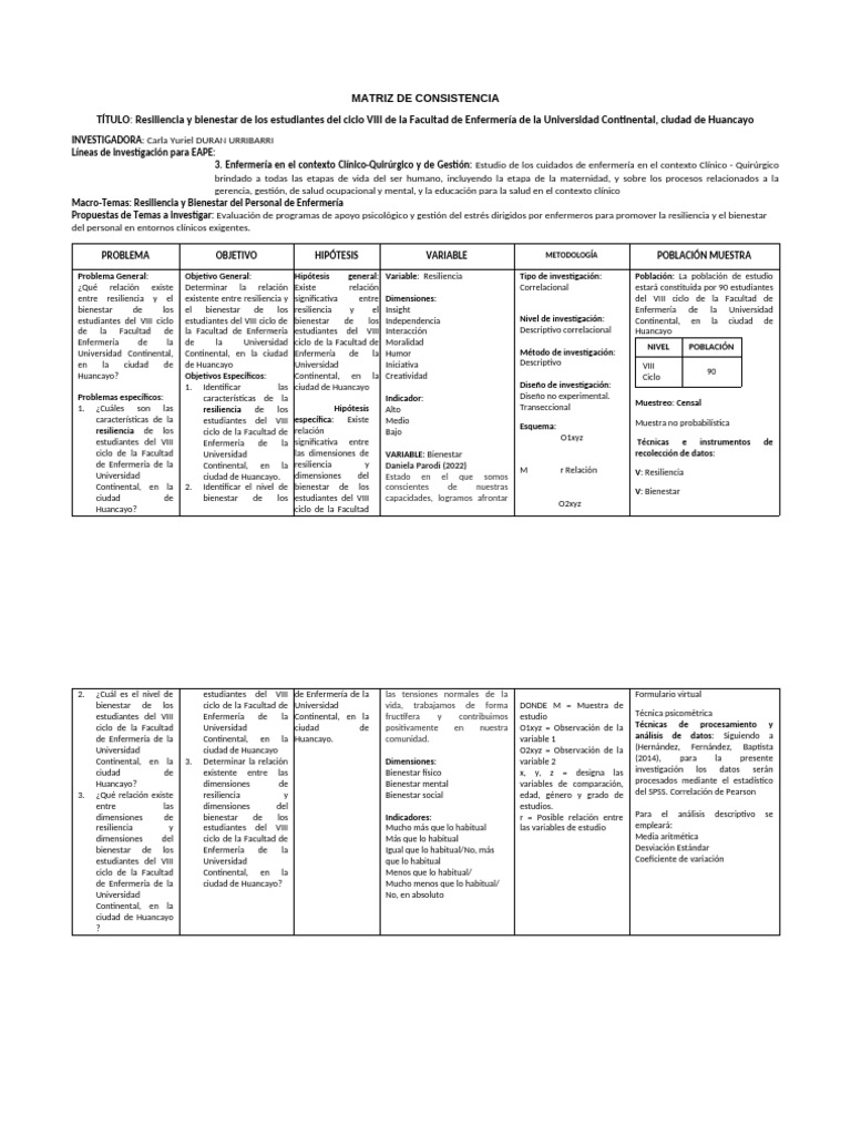 Matriz 2 Carla | PDF | Enfermería | Sicología