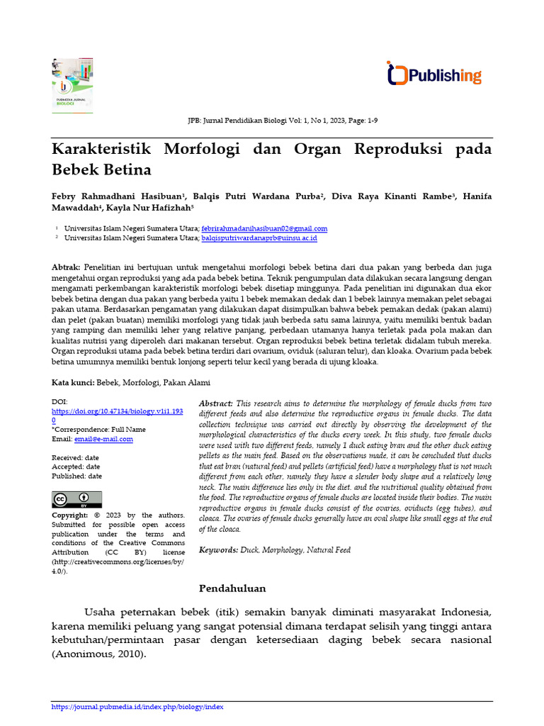 New - Karakteristik Morfologi Dan Organ Reproduksi Pada Bebek Betina ...