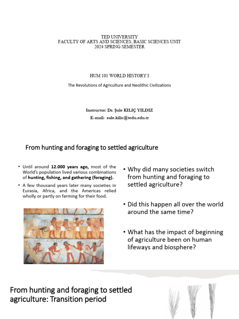 Neolithic Period | PDF | Agriculture | Domestication