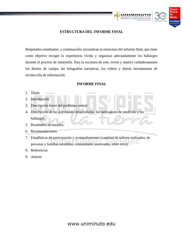 Estructura Del Informe Final | PDF
