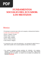 Sistema de Castas en El Virreinato Del Perú | PDF | Colonización ...