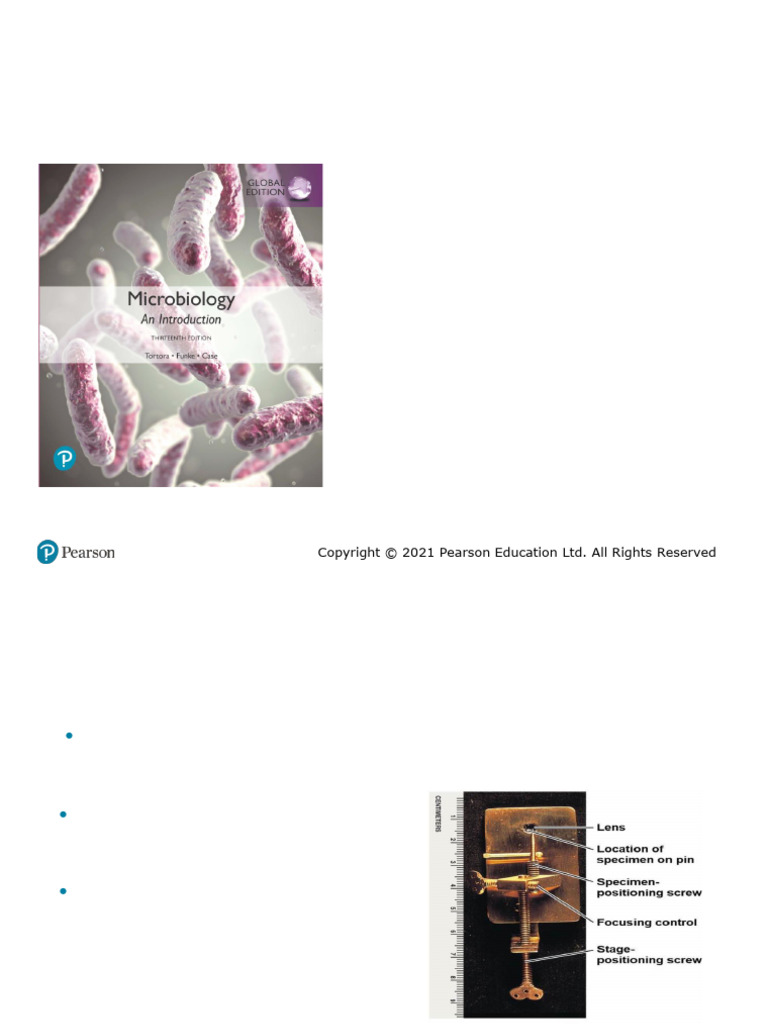 Ch.3-Observing Microorganisms Through A Microscope-P1&P2 | PDF | Staining | Microscopy