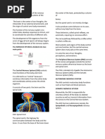 Grade 12 Notes | PDF | Autonomic Nervous System | Nervous System