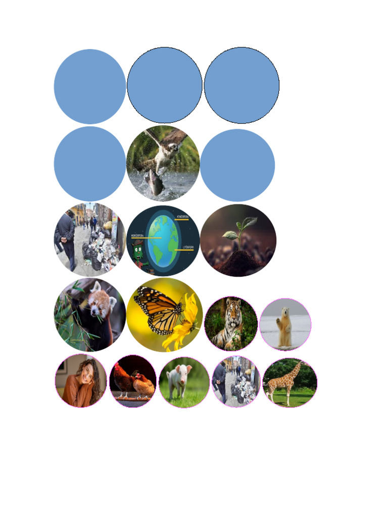 El Agua Es Un Elemento Esencial para La Vida en Nuestro Planeta | PDF